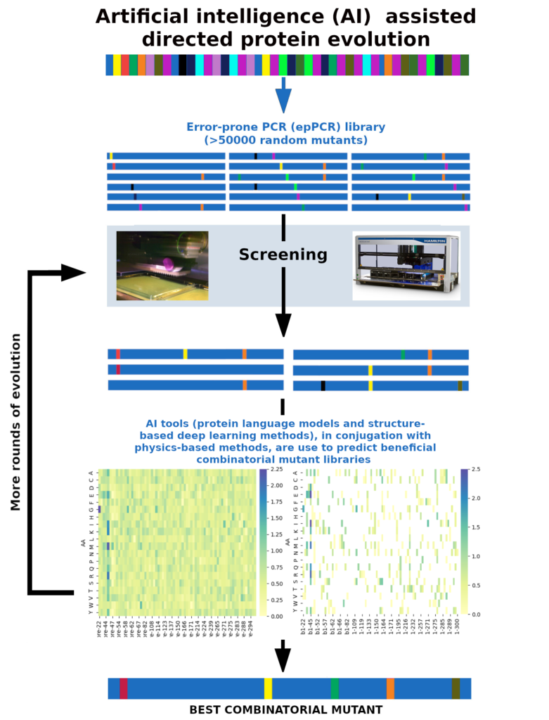 AI-assisted Enzyme Design - Almac
