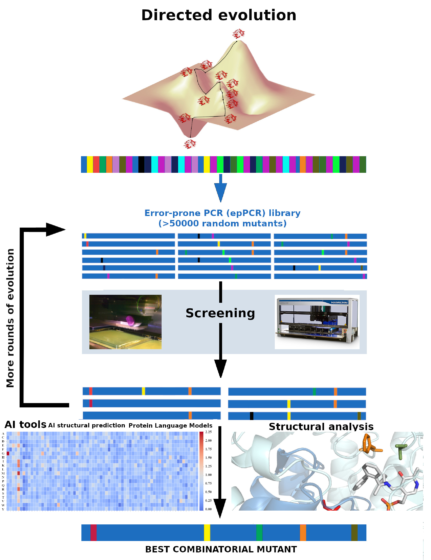 Directed Evolution - Almac