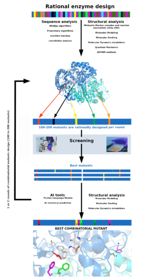 Rational Enzyme Design - Almac