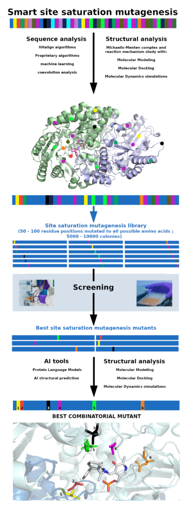Smart Site Saturation Mutagenesis - Almac