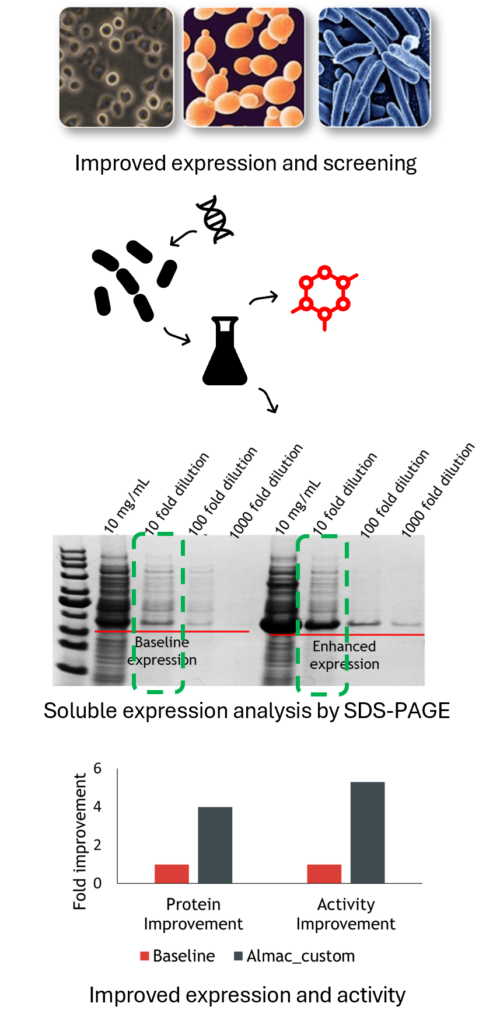Enzyme expression improvement platform - Almac