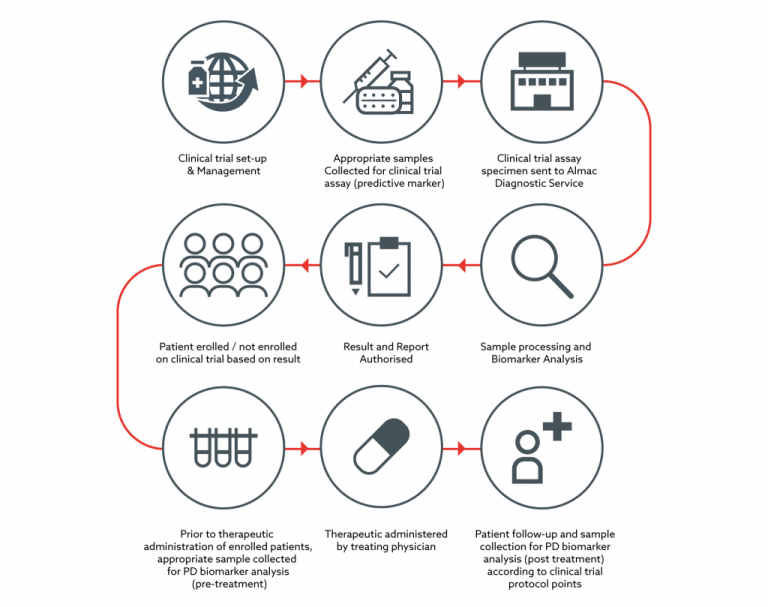Pharmacodynamic Biomarker Testing - Almac