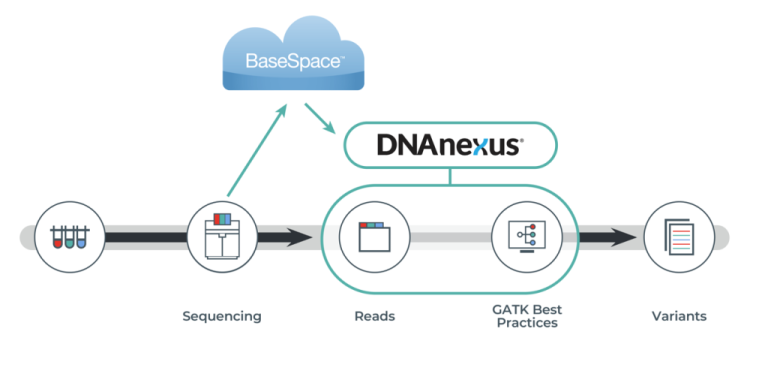 Whole Genome Sequencing (WGS) Service - Almac